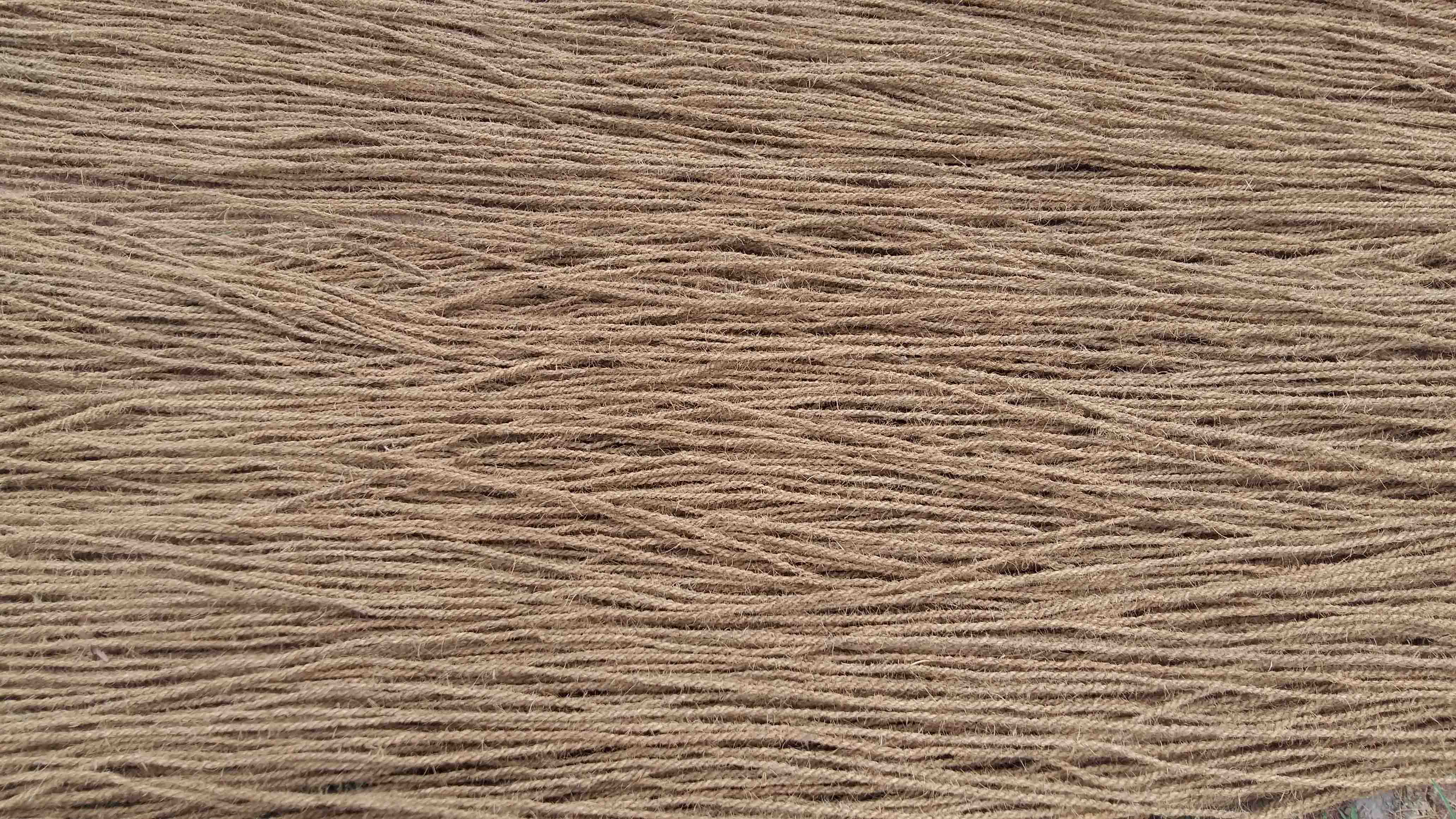 CEYLON COIR FIBRE INDUSTRIES: Coir Twine